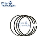 China WESPC 4181A009 Piston Ring Kit for Perkins A4.248 4.248 LF 98.42mm Bore for sale