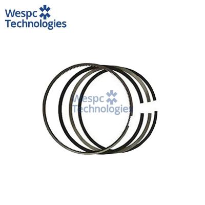China WESPC 4181A009 Piston Ring Kit for Perkins A4.248 4.248 LF 98.42mm Bore for sale