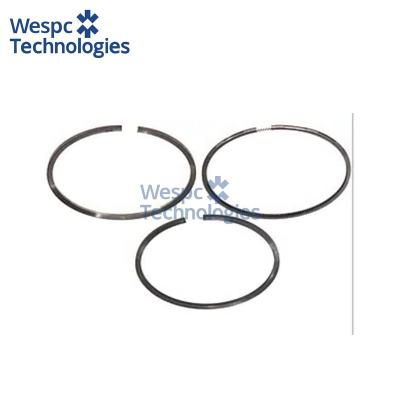China WESPC 4181A101 Piston Ring Kit for Perkins 1104C 1104D 105mm Bore for sale