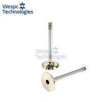 China WESPC 3142L072 Intake Valve for CAT 3054 Generator Excavator Engine for sale