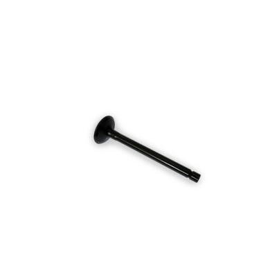 China WESPC 120176250 Exhaust Valve for Perkins 400 Series Diesel Engines Alloy Steel 18cm for sale
