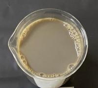 China High Temperature Anti-Sticking High Gloss High Hardness Wear-Resisting Carnauba Wax Emulsion For Cars for sale