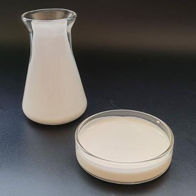 China Transparency Anti-Blocking Room Temperature Self-Crosslinking Film-Forming Styrene-Acrylic Copolymer Emulsion Good Pigment Wetting In Flexo And Gravure Inks for sale