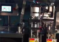 China Fully Automatic Blister Packing Machine With Auto Vibration Disco Brush Feeder for sale