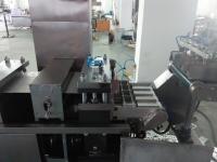 China Alu Alu Tablet Blister Packing Machine And Cartoning Machine Production line for sale