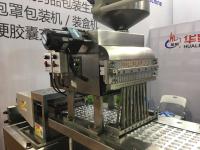 China DPP-260AE automatic flat Alu - Alu Blister Packing machine for sale