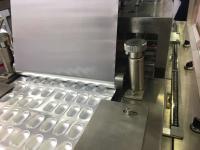 China DPP-260AE automatic flat Alu - Alu Blister Packing machine for sale