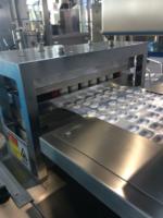 China New Condition Easy operation Alu Alu Blister  Packing Machine DPP-260E for sale