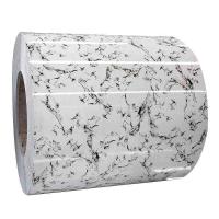 China 1mm En 10215 Pre Painted Galvanized Steel Coil Dx51d Z61 for sale