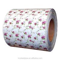 China Color Coated S235 S275 Prepainted Galvanized Steel Coils PPGI SGCC PPGL Cold Rolled for sale