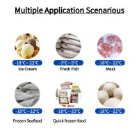 China 880W Removable Stainless Steel Upright Commercial Freezer Multiclimate for sale
