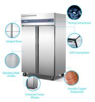 China 680W 220V 680W Vertical Fridge Freezer , Multiscene Commercial Freezer Refrigerator for sale