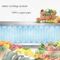 China Large Capacity Under Counter Cooler Fridge Multiscene Practical Antiwear for sale