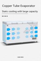 China Seafood 350L Supermarket Display Freezer Anticorrosive Dual Zone for sale