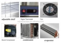 China Supermarket Deli Display Cooler Practical Antiwear For Hot And Cold Food for sale