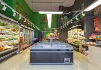 China 670W 600L Frost Free Chest Freezer Fridge 150Kg For Supermarket for sale