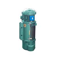 China Customized Design Wireless Remote Control Electric Hoist For Crane for sale