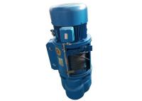 China Remote Control Small Electric Hoist 10 Ton For Workshop Building 380v 50hz for sale