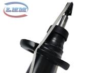 China Auto Front LH Air Spring Shock Strut For BMW X3 F25 3711 6797 025 for sale