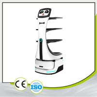 China Panda AI Delivery Robot with 30KG Load Capacity and ±50mm Positioning Accuracy for Autonomous Logistics for sale