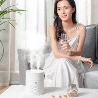 China Portable Ultrasonic Cool Mist Air Humidifier 1.1L for sale