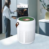 China Plug-in Air Purifier with H13 HEPA Filter and Auto/Manual Modes for sale