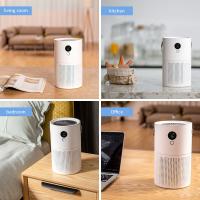 China 10000mAh Household Air Purifier AP01 Smart H13 True Hepa White for sale