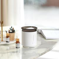 China Ultrasonic Aroma Diffuser Aromatherapy Humidifier OEM Personal Use for sale