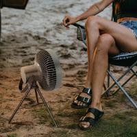 China Tripod Battery Operated Pedestal Fan Rechargeable 10000mAh Bedroom Camping for sale