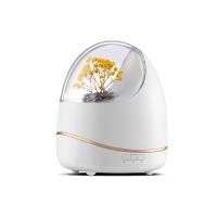 China 400ml Flower Aromatherapy Diffusers Air Humidifiers Auto Off Design For Home Yoga Office Kitchen for sale