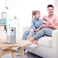 China H13 HEPA Filter Portable Smart Home Air Purifier 10000mAH Ap01 Home Desk for sale