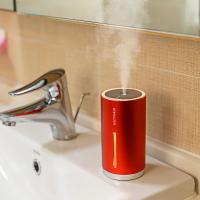 China 200ml Portable Usb Desktop Humidifier Alcohol Atomization Disinfection Car Diffuser for sale