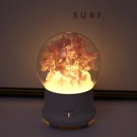 China Slim 20ml/H Aroma Oil Diffuser 100ml Cool Mist Large Room Office for sale