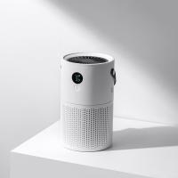 China Auto Portable Personal Air Purifier AP01 H12 Hepa Filter Pollen Pet Dander for sale