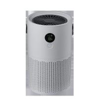 China Auto Portable Personal Air Purifier AP01 H12 Hepa Filter Pollen Pet Dander for sale