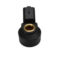 China Auto Parts 1.6T Knock Sensor For Peugeot 2008 3008 308S 4008 5008 508 207C 308SW RCZ Citroen C3XR C4L C5 C6 DS5 OE 1920LT for sale