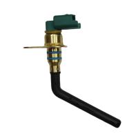 China 2.0 Oil Level Sensor OE 1131E5 1131F9 For Peugeot 307 407 Citroen C3XR C4L C4SHIJIA C5 XSARA Picasso for sale