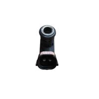 China 1984F8 Fuel Injection Valve Nozzle A2C59517084 for Peugeot 3008 307 308 408 508 and Citroen C4 C5 Models 2002-2019 for sale