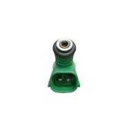China Fuel Injector Valve Nozzle OE 1984G0 for Peugeot 206 207 Citroen C2 C3 - 1996-2017 Vehicle Compatibility for sale