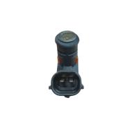 China Hengertong Fuel Injection Valve Nozzle for Peugeot Citroen EC5 M43 301 T93 Models with 12 Month Warranty for sale