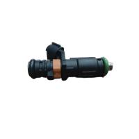 China Hengertong Fuel Injection Valve Nozzle for Peugeot Citroen EC5 M43 301 T93 Models with 12 Month Warranty for sale
