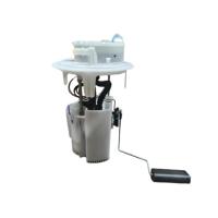 China Auto Parts Fuel Pump Assembly For Peugeot Citroen OE 9805932380 9805932480 9821868280 9816844380 for sale