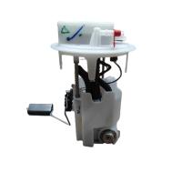 China Auto Parts Fuel Pump Assembly For Peugeot Citroen OE 9805932380 9805932480 9821868280 9816844380 for sale