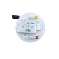 China Auto Parts Fuel Pump Assembly For Peugeot Citroen OE 9805932380 9805932480 9821868280 9816844380 for sale