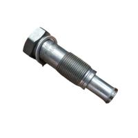 China Auto Timing Chain Tensioner Timing Tensioner Screw 1.6T OE 0829G3 9800195780 For Peugeot Citroen for sale