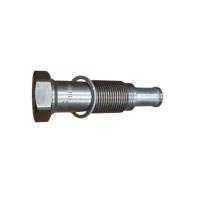 China Auto Timing Chain Tensioner Timing Tensioner Screw 1.6T OE 0829G3 9800195780 For Peugeot Citroen for sale