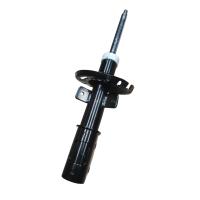 China Peugeot 308 408 Citroen C4 Front Shock Absorber 9802970880 ZQ92606080 - 2010-2019 Vehicle Compatibility for sale