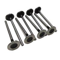 China Auto Parts EC8 Engine Intake And Exhaust Valves For Peugeot 408 Citroen C4L OE 9673943580 9673943680 for sale