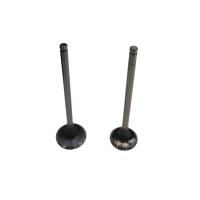 China Auto Parts 1.2T Engine Intake And Exhaust Valves For Peugeot 2008 308 408 Citroen C3XR C4L OE 9807292680 9807292780 for sale