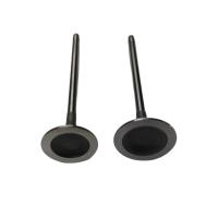 China Auto Parts 1.6T Engine Intake And Exhaust Valves For Peugeot 3008 207CC 308CC 308SW RCZ Citroen C4 C4L DS5 OE 0948E8 0949E2 for sale